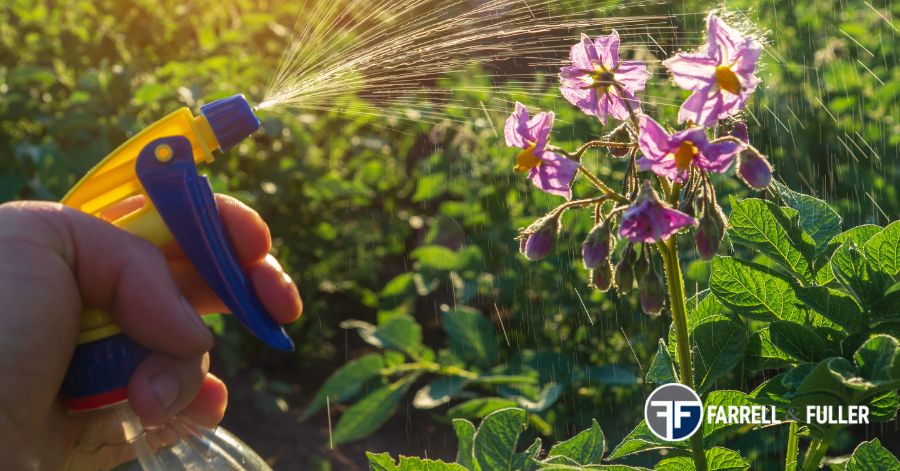 Is Your Garden Killing You? What to Know About Glyphosate and Cancer Risk